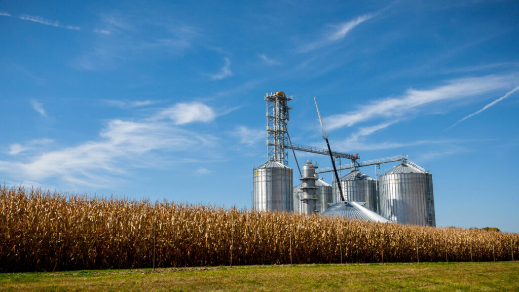Grain management software for farmers